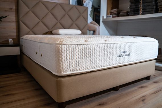 Best Bed Shop | Bed Store